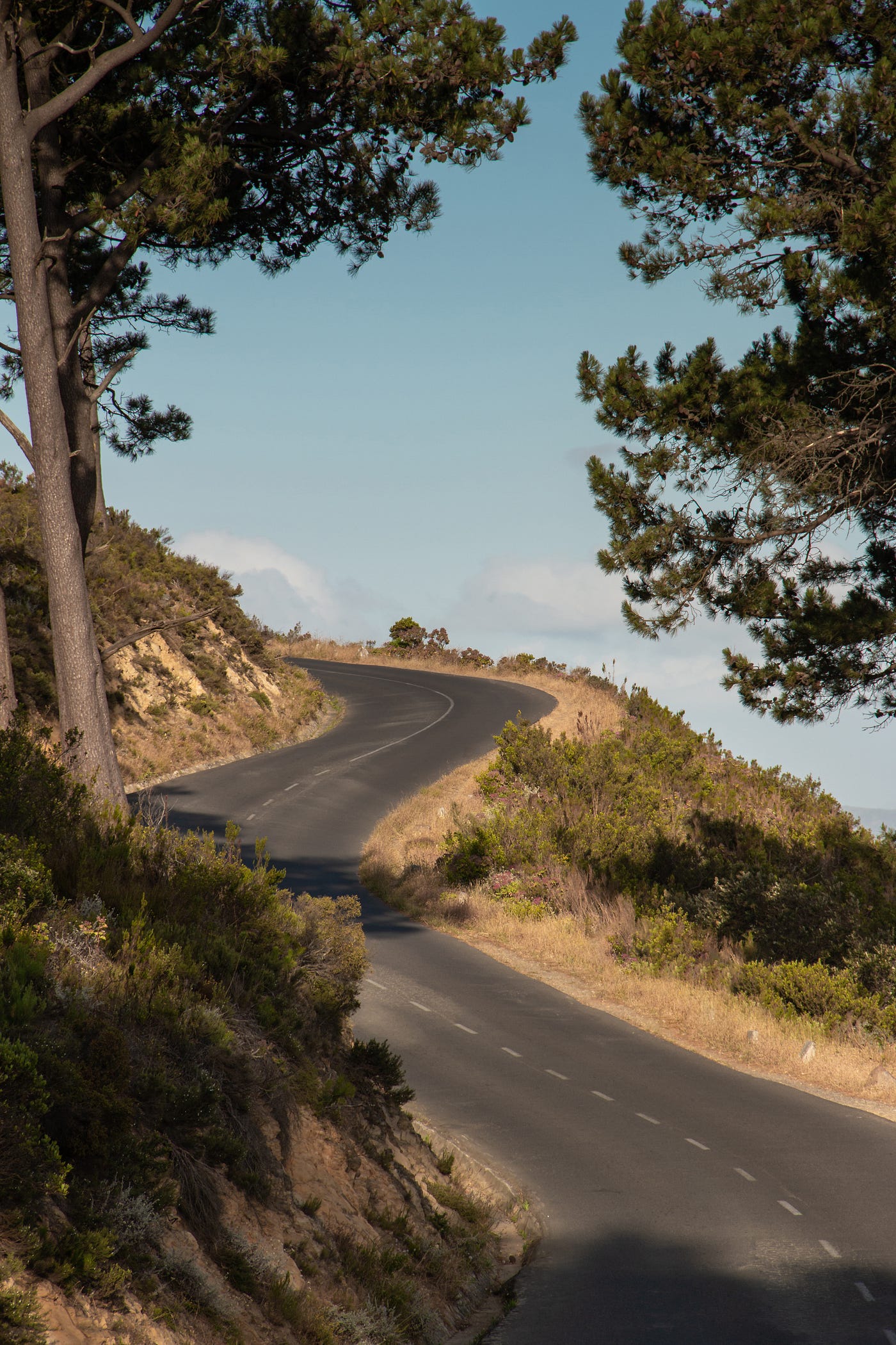 Difference Between Formal Review And Informal Review In Software Testing