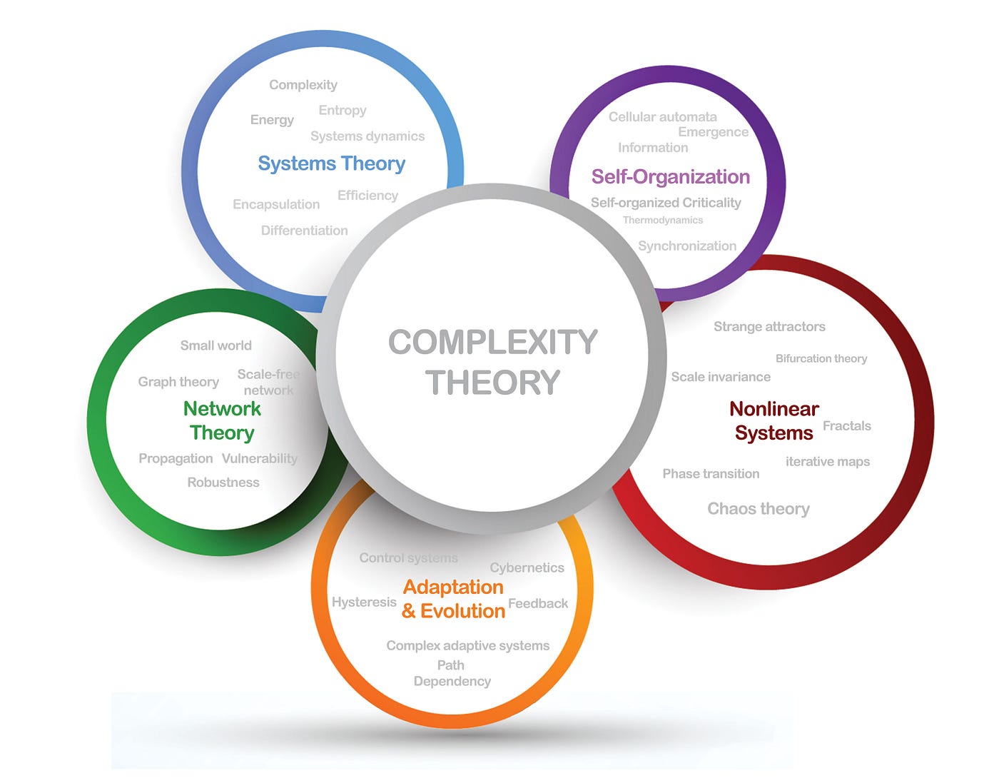 Why Feedback Loops and Systems Are Hotter Than Kathryn Winnick | by ...