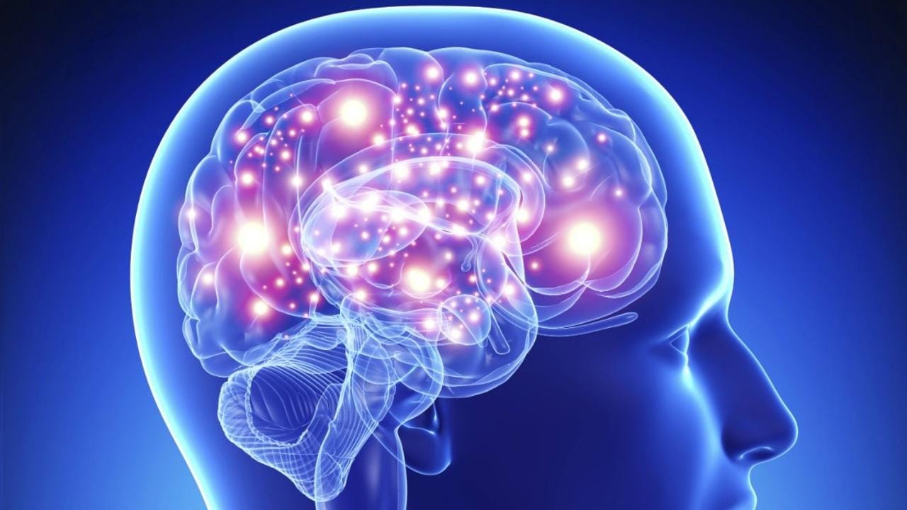 The Science of the Spiritual Brain | by Paige Ravenscroft | Medium