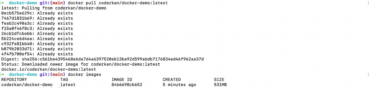 Push & Pull Image to Docker Hub. Using container is very important. You ...