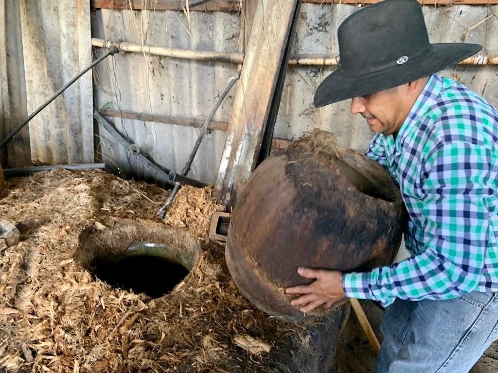 How to Pack the Mezcal Oven | Tips from Rey Arellanes Angeles, Santa ...