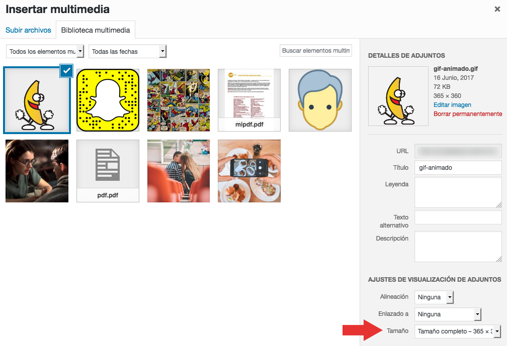 Como insertar gifs en tu post de Wordpress? | by Wordpreseo online | Medium