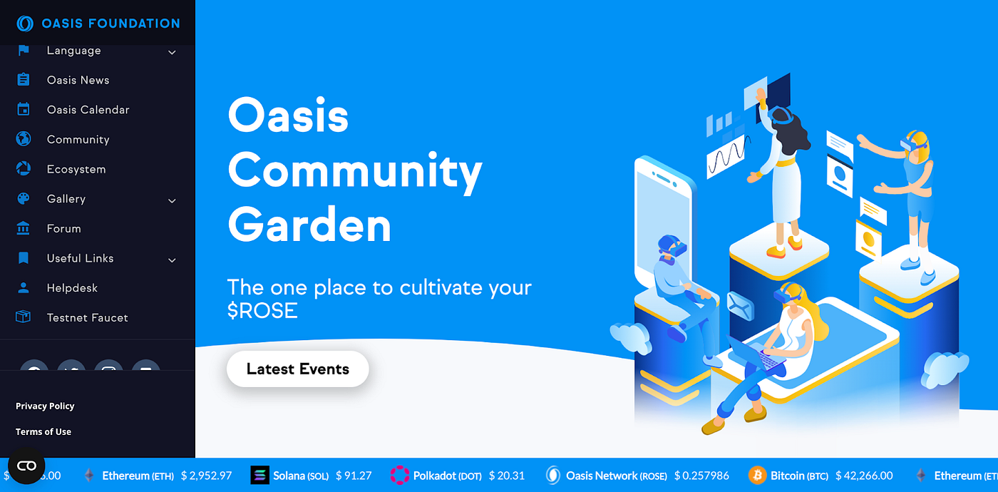 Introducing the Oasis Community Garden | by Rani | Oasis Foundation ...
