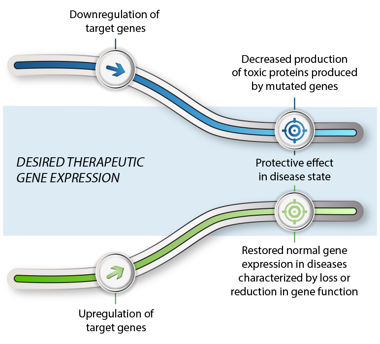 Early-stage companies — Encoded Therapeutics | by Axial | Medium