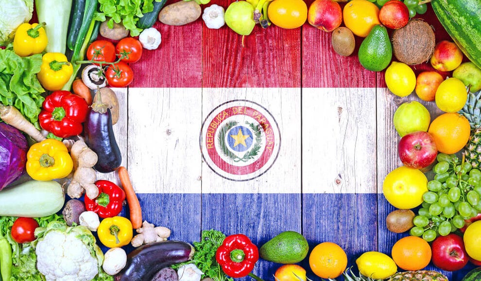 Facts about the flora and fauna in Paraguay | by TreeCoin | TreeCoin ...