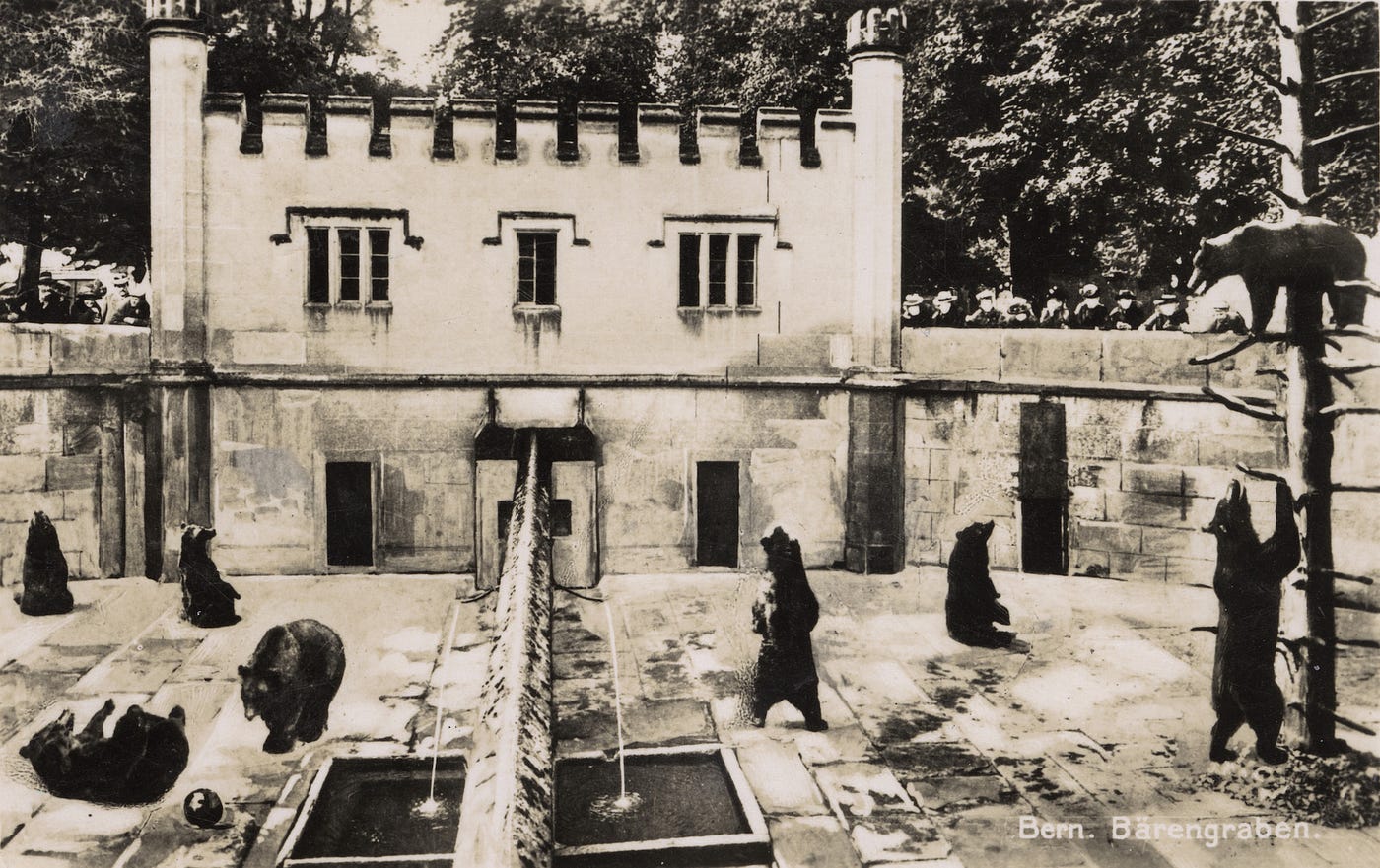 Rare pictures from old zoos. by Jennifer Blanchette | by The b | The b ...