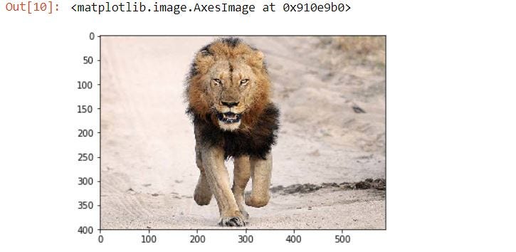 How to get started with OpenCV for Image Processing. | by Mithilesh Pradhan | Analytics Vidhya ...