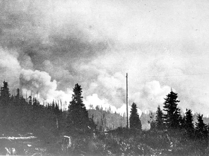 Big Blow Up, the Great Fire of 1910 | by Christopher DeCou | Medium