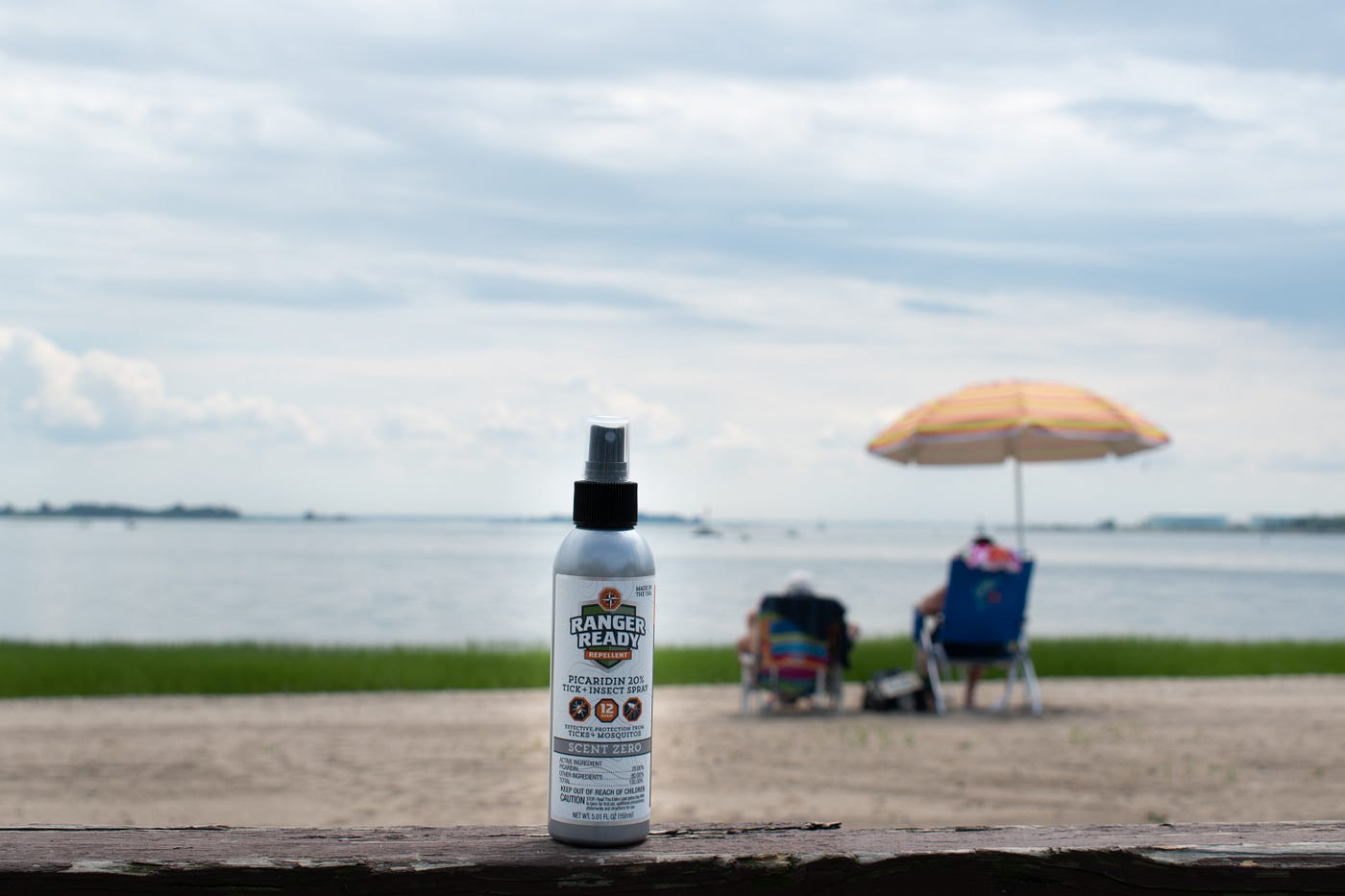 How to Stay Protected from Bug Bites at the Beach | by Teddy DeRosa ...