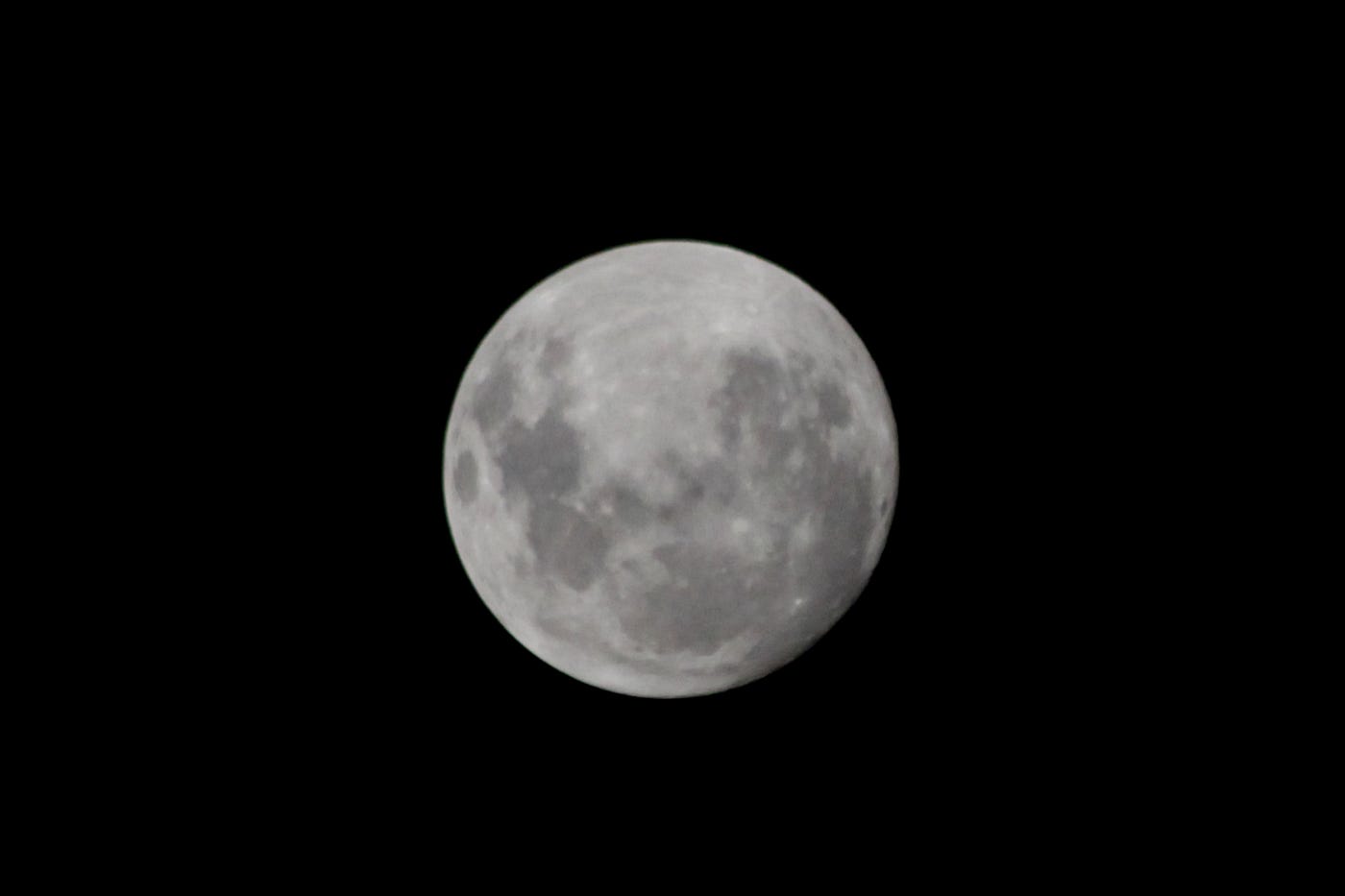 O verme passeia na Lua Cheia. Lua cheia. Poucas coisas me fascinam ...