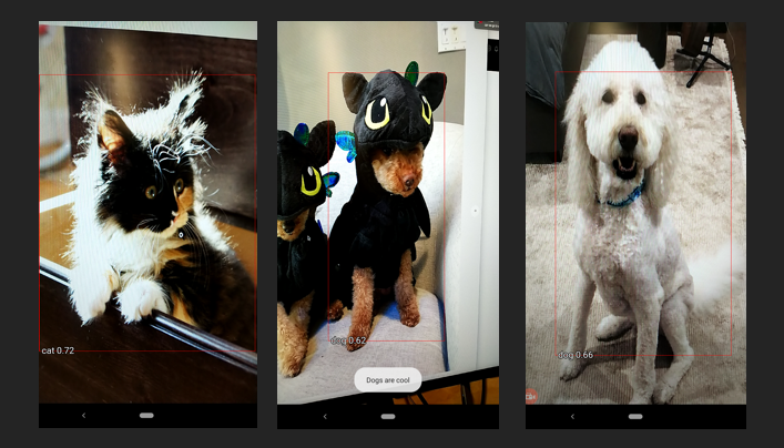 A guide to Object Detection with Fritz: Build a pet monitoring app in Android with machine ...