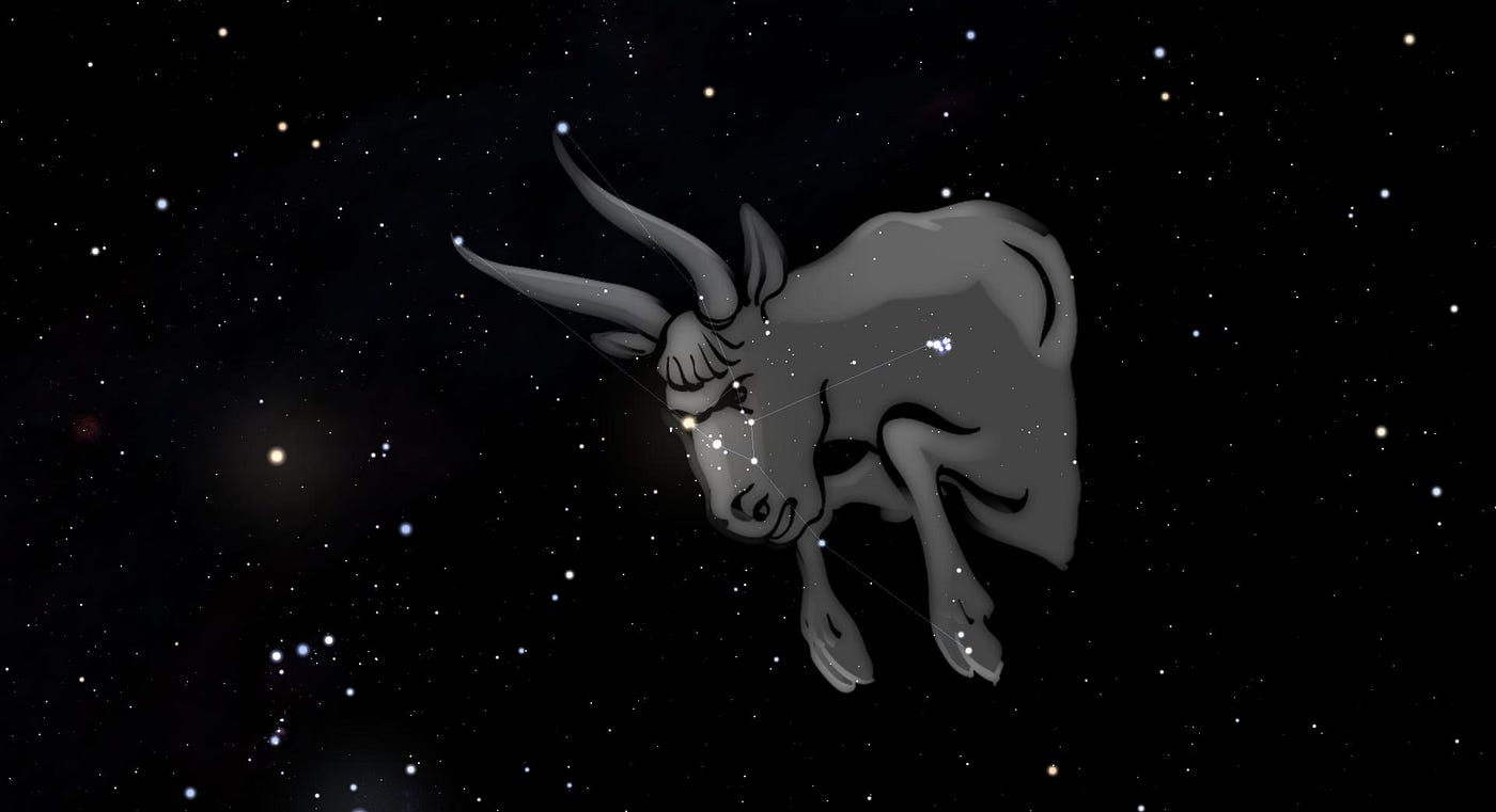 “Where can I find my star sign?” — a great question to ask an ...