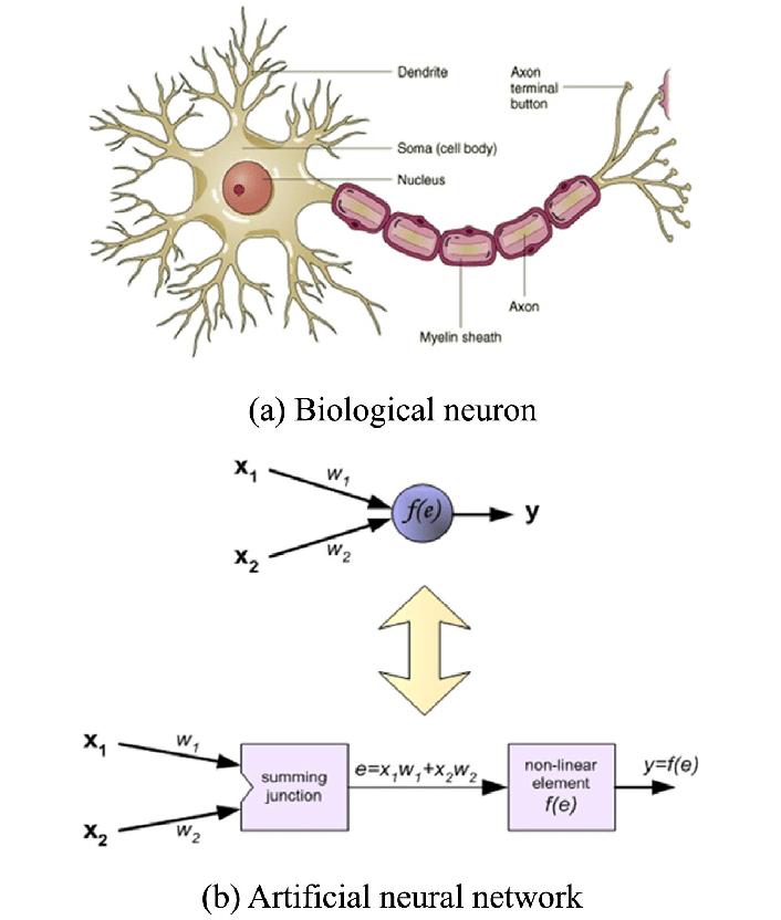 The Differences between Sigmoid and Softmax Activation Functions | by ...