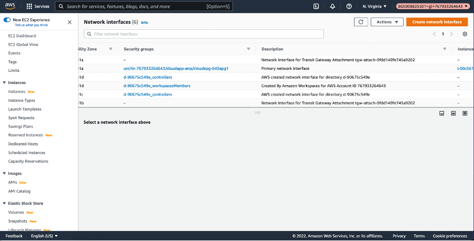 Networking and Securing AWS Workspace with Cloud ACI | by Ricardo ...