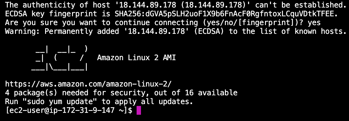 How To Deploy Nextjs On Aws Ec2 With Ssl By Ruucm Today I Solved Medium