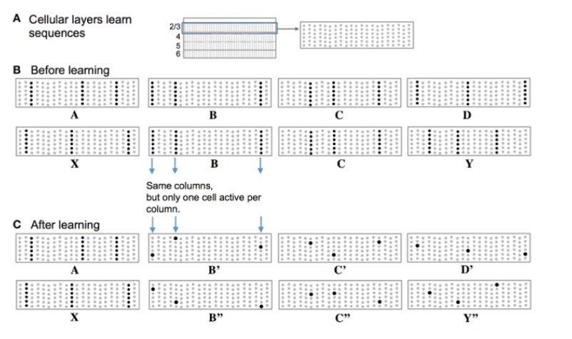 Understanding Hierarchical Temporal Memory | by Richa Singh | Medium