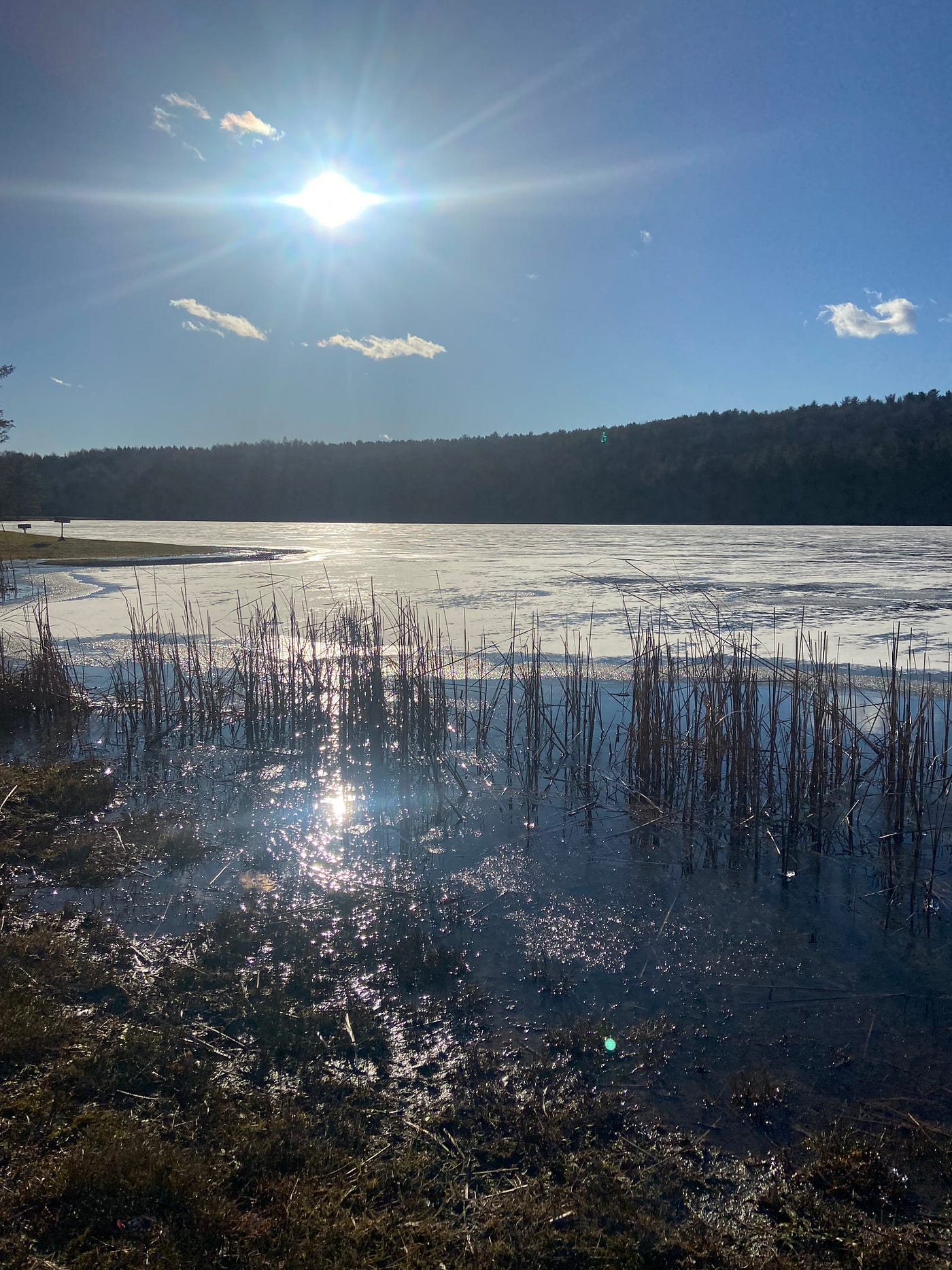 The Road Less Travelled-A Late Fall Hike at Bowman Lake State Park | by ...