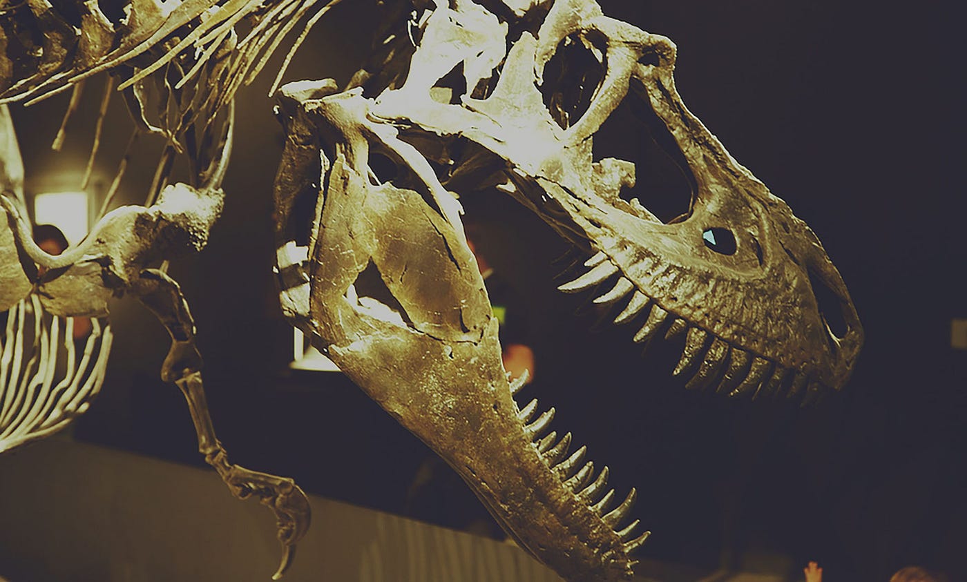 Yutyrannus Skeleton