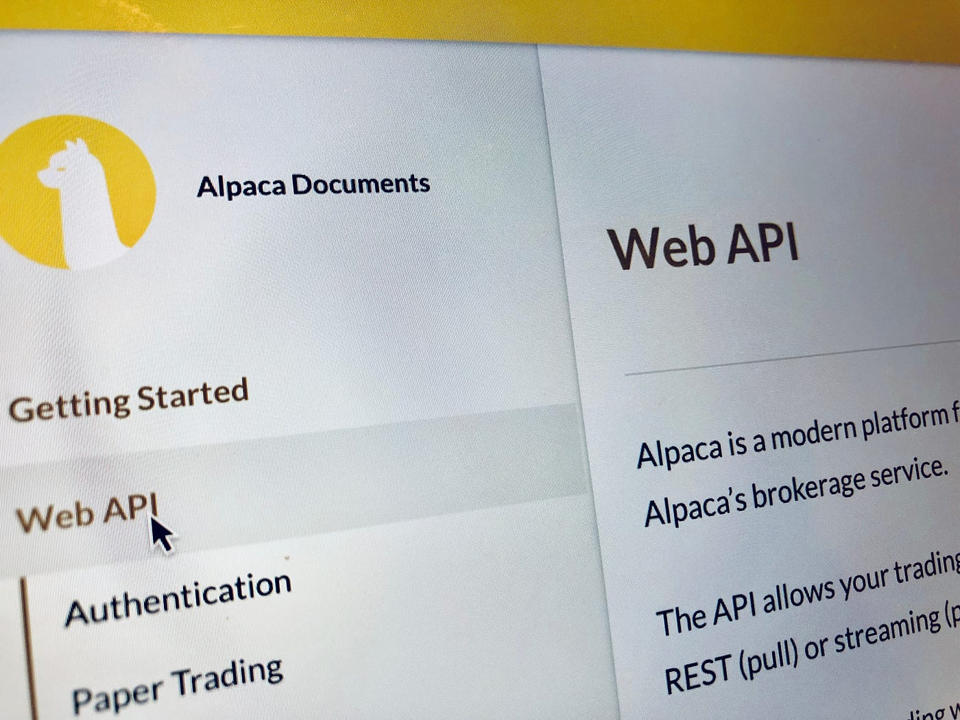 Quick Review of Setting Up Alpaca API with Python | by Matthew Tweed | Automation Generation ...
