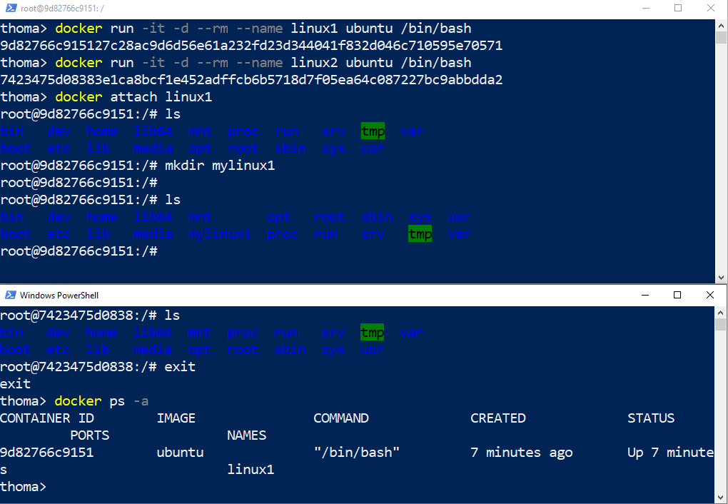 Docker Run Tutorial For Absolute Beginners Part 2 Run Multiple Docker Containers Explained