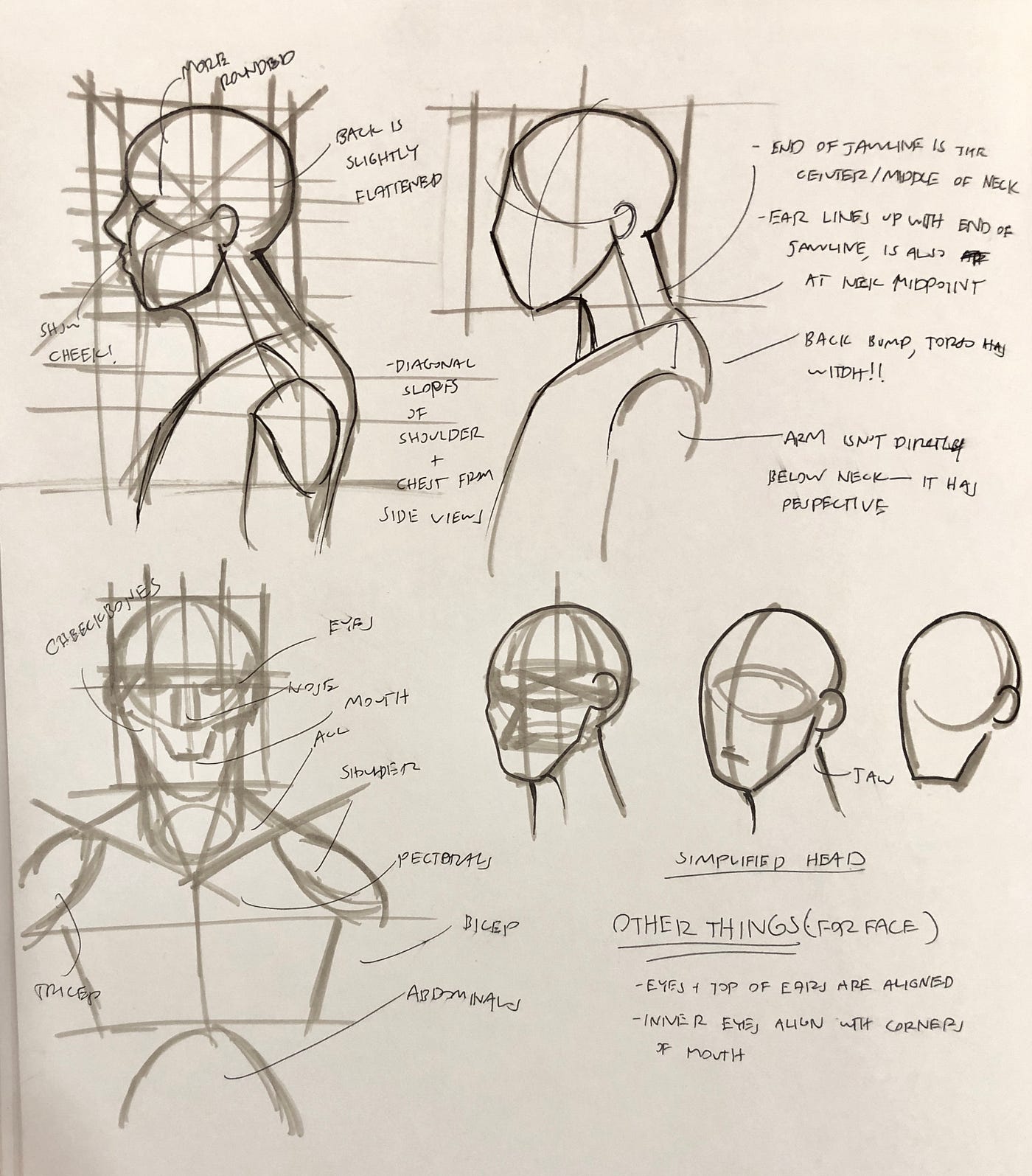 Gestural Drawings. In the beginning, we practiced the… | by Shannon Lin ...