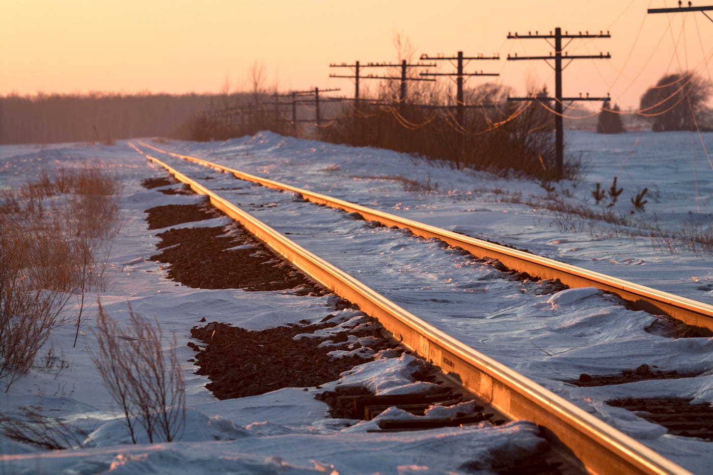 Coastal GasLink vs. Wet’suwet’en Protests: An Overview, A Discussion ...
