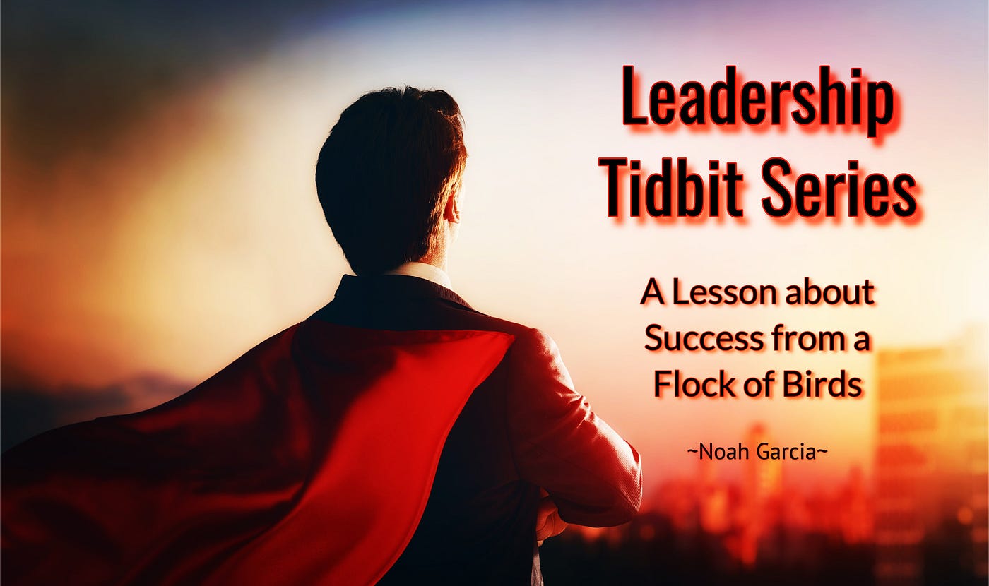 Leadership Tidbit Series: A Lesson about Success from a Flock of Birds ...