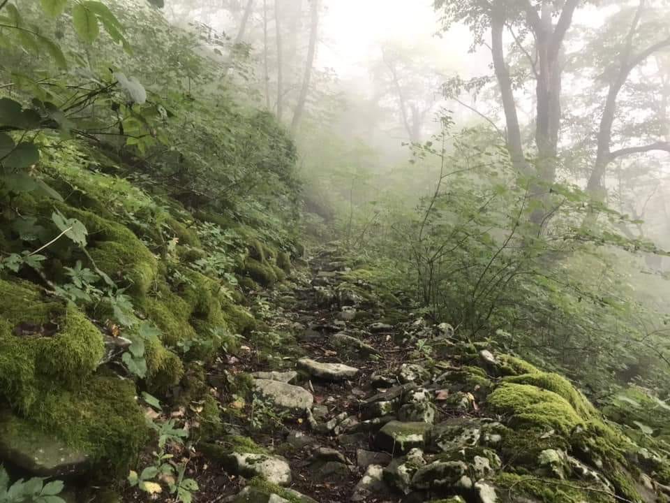 Grindstone 100 Race Report. October 5, 2018 | by Brandon Whistler | Medium
