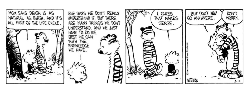 What Calvin and Hobbes Can Teach Us About Writing (And Life) | by ...