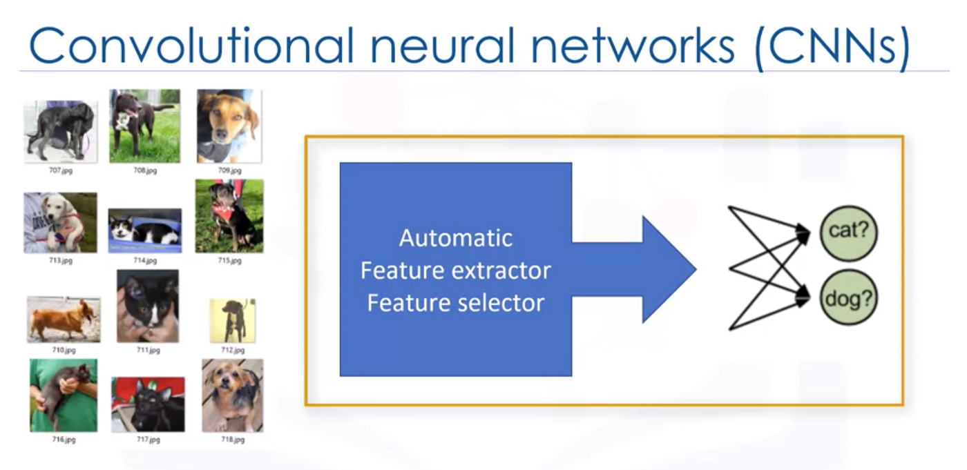 Convolutional Neural Networks (CNNs) for Classification | by Mehmet ...
