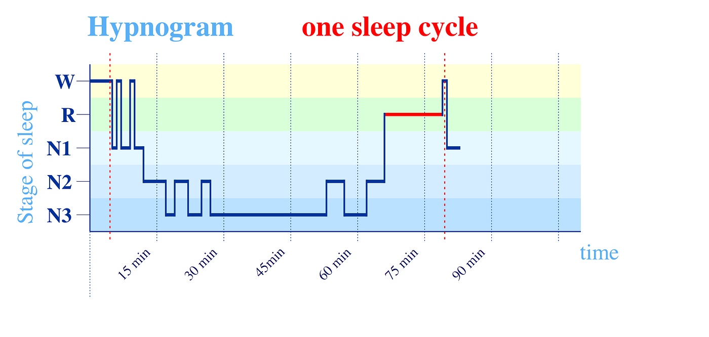 The Connection Between a Good Night’s Sleep and Creativity | by Amanda ...