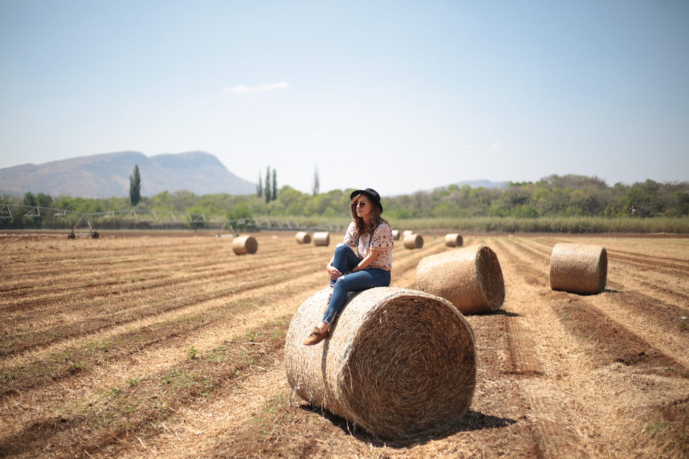 Finding the Hay in the Needle Stack | by Barbara Brooks | Medium