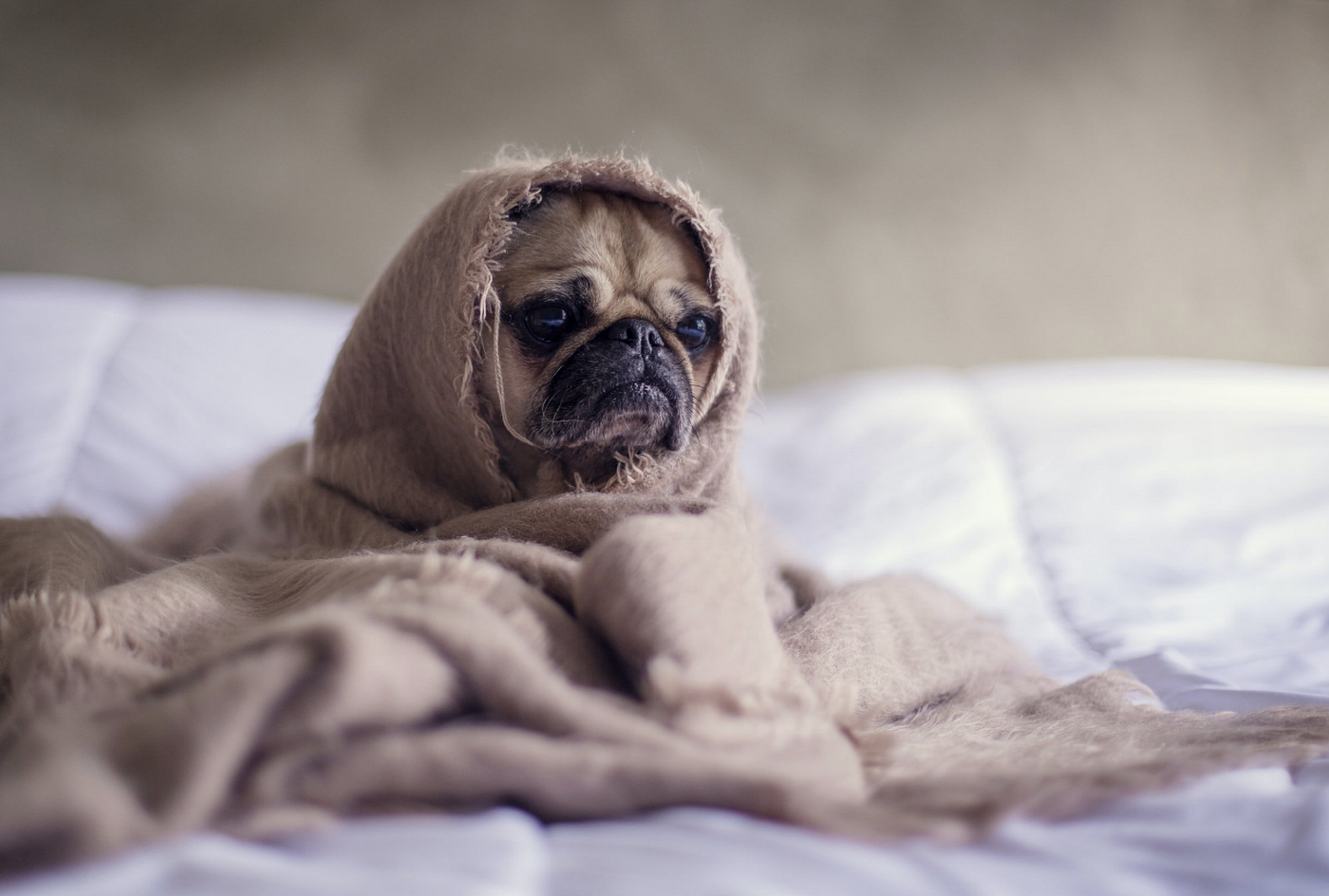 The Four Different Types of Fatigue (And How They Show Up in Our Lives ...