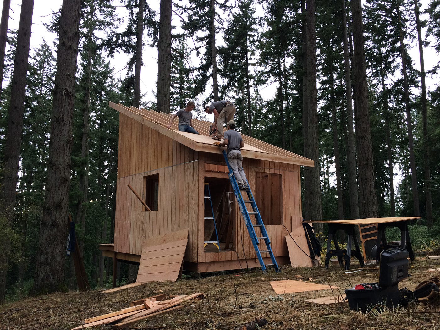 Six-Day Cabin: What we learned in the woods | by Aaron Flack | Medium
