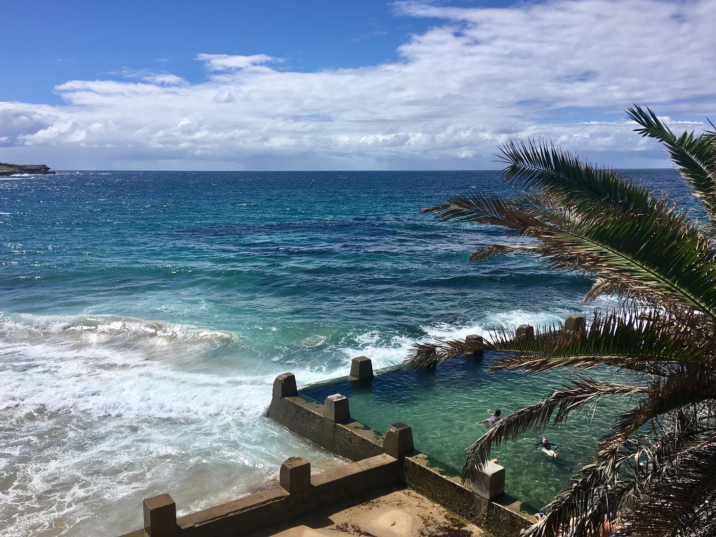 Holiday Retrospective — Australia | by Michelle Vidler | Medium