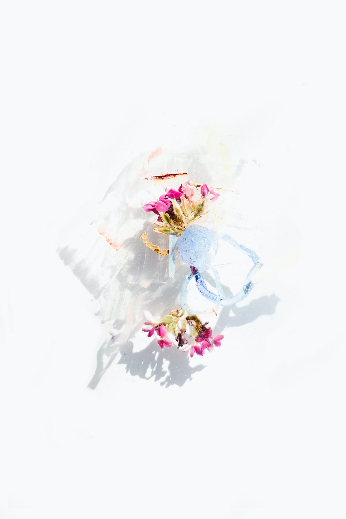 The Reason to Keep Shakespeare. ‘Twixt the Sheets’: A Codex of Early ...