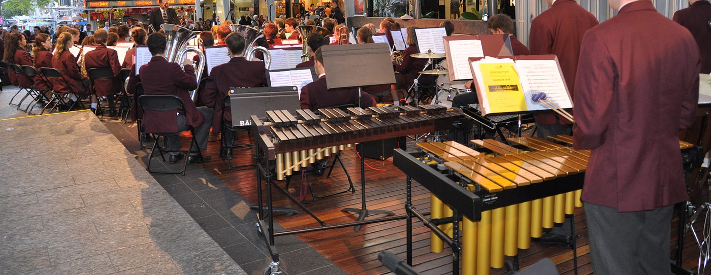 Nurturing Young Musicians. Supporting music engagement to ensure a ...