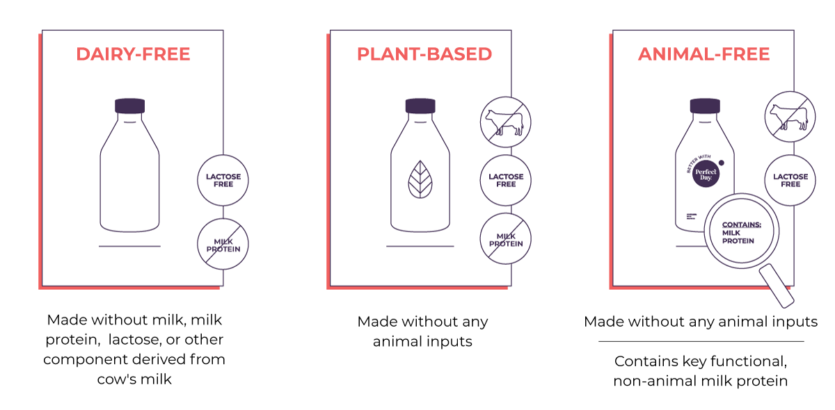 Milk — Without the Cow? Introducing: Animal-Free Dairy | by Ashna ...