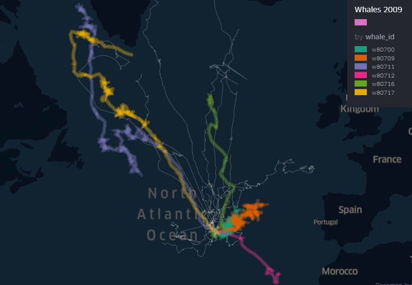 Time-filter for Great Whale’s migration routes | by Bryan R. Vallejo ...