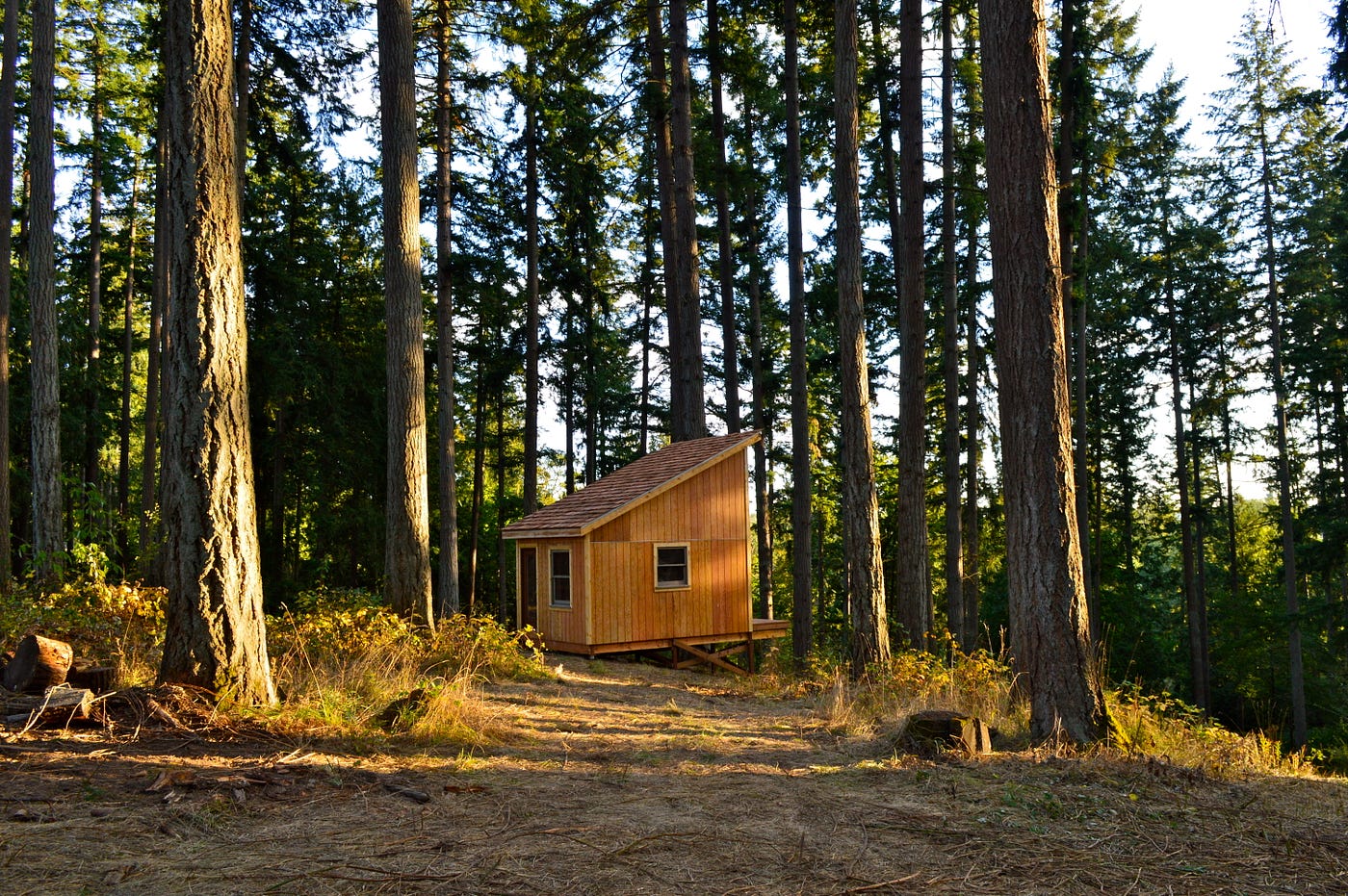 Six-Day Cabin: What we learned in the woods | by Aaron Flack | Medium