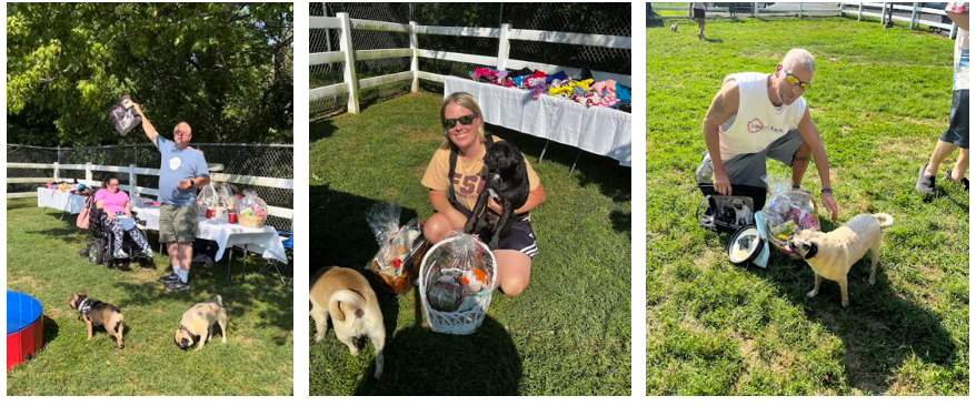 Spreading Good Pug Vibes. At our Pug Meetup this past weekend, I… | by ...