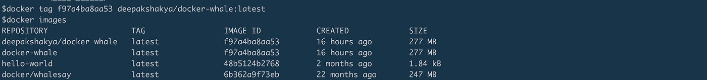 Beginner’s guide to use docker (Build, Run, Push and Pull) | by Deepak Shakya | Medium