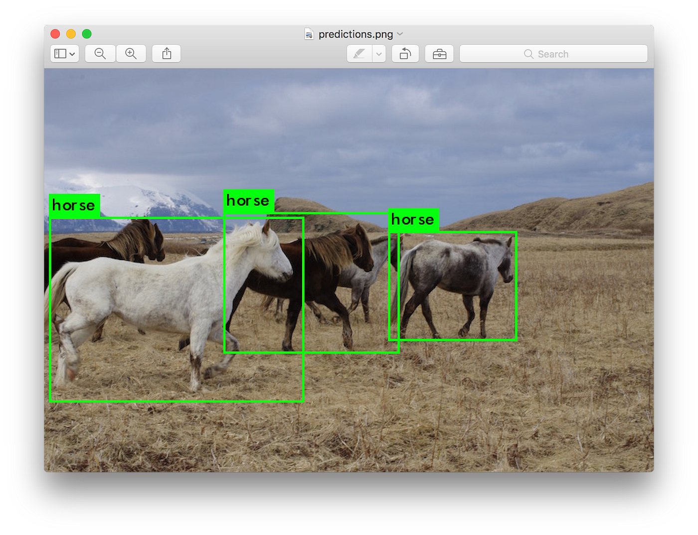  YOLO Object Detection 1 