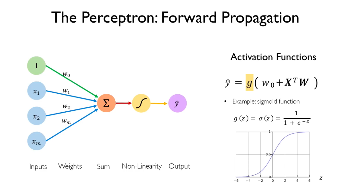 The Perceptron. This is the first-ever blog I’m writing… | by Parth ...