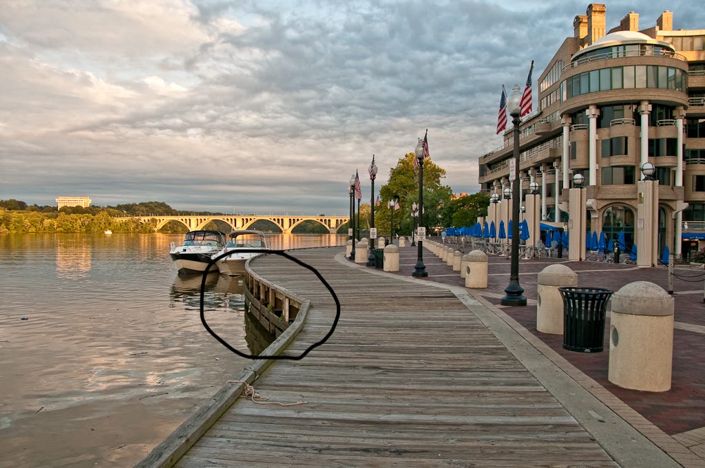 Fishing in Washington DC: My Secret Spots. | by Thomas Bradley | Medium