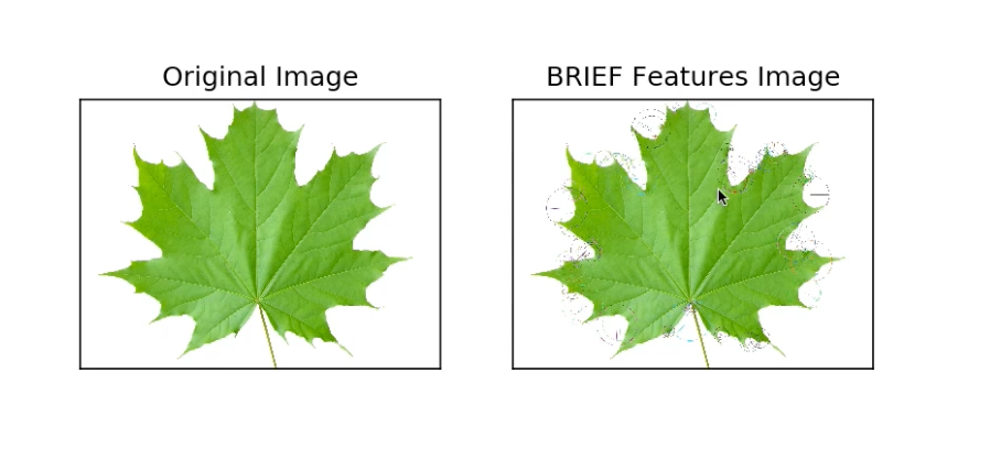 Practical OpenCV 3 Image Processing with Python | by Riaz Munshi | Medium