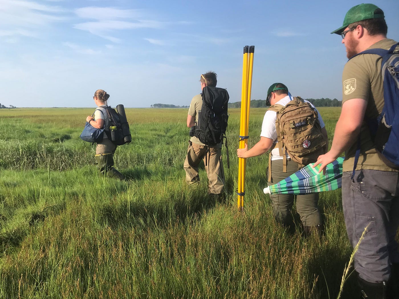Sense of wonder in the field: Salt marsh majesty | by U.S. Fish ...