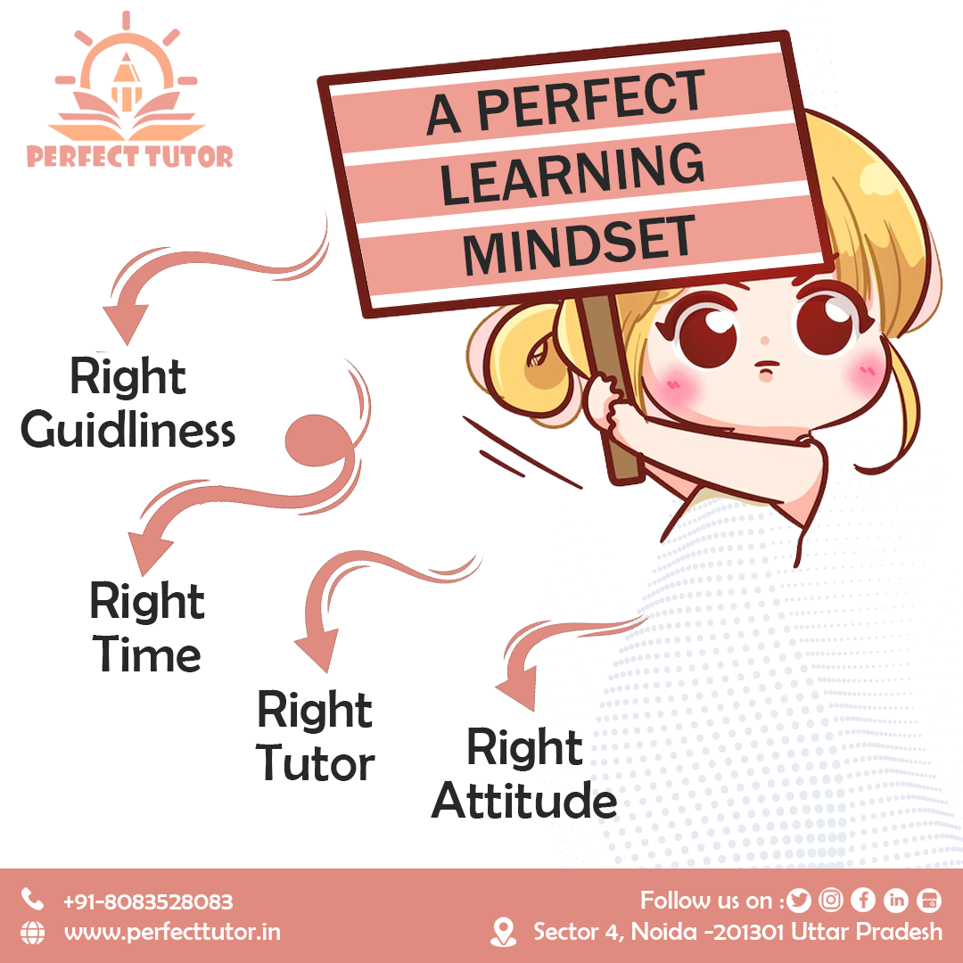 Perfect Tutor – Medium
