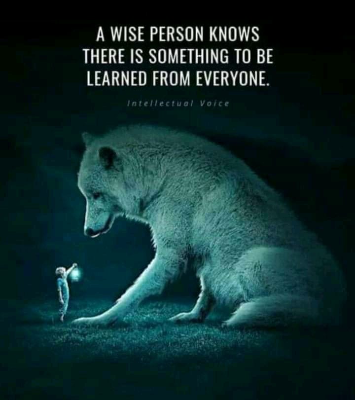If you are these kind of person then you are definitely wise . | by ...