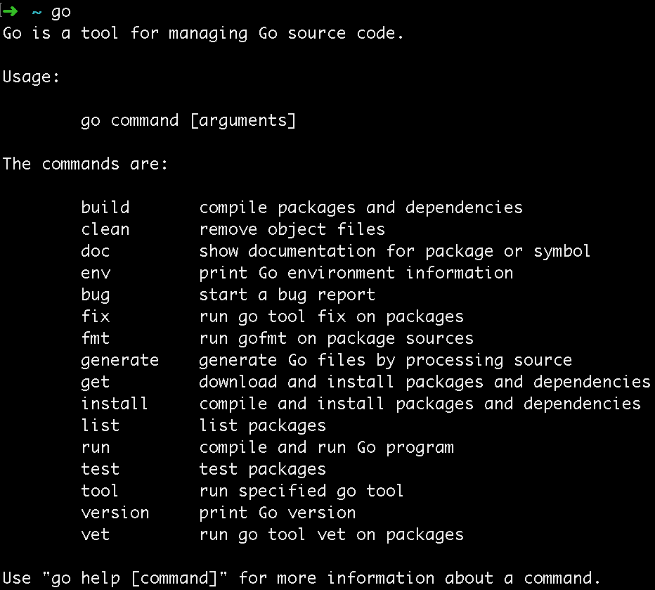Setting up a Go Development Environment | Mac OS X | by Akyuna Akish ...